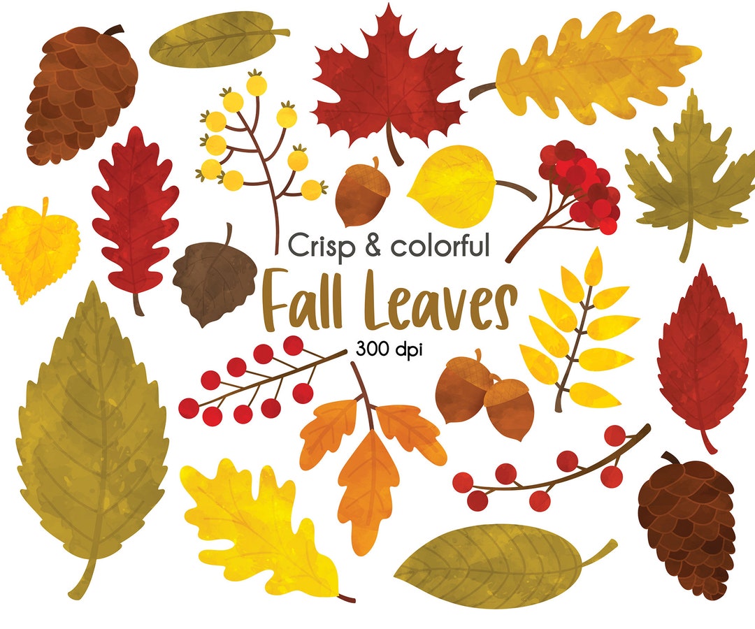 Fall Leaves Clipart Bundle, Autumn Clipart, Country Clipart, Autumn ...