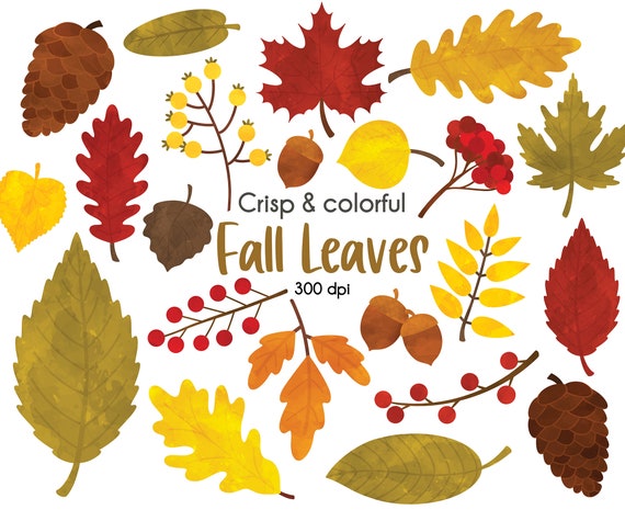 Fall Leaves Clipart Bundle Autumn Clipart Country Clipart - Etsy