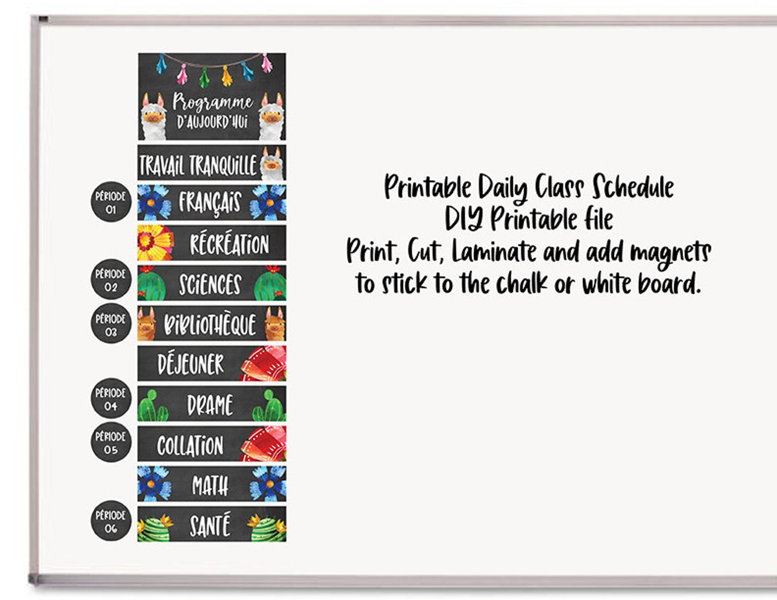 FRENCH Classroom Llama Timetable PRINTABLE, Classroom Schedule, Visual ...
