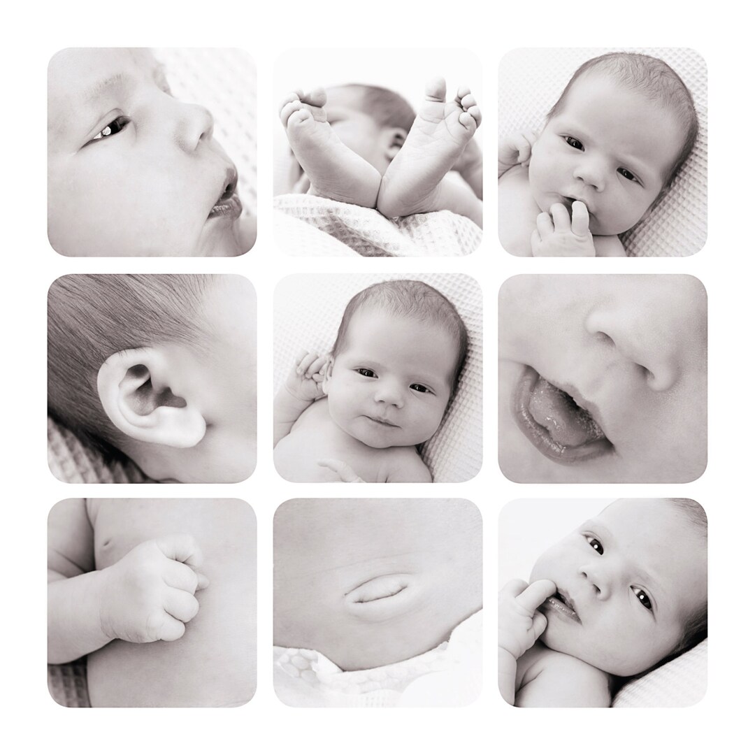 Newborn Template, Storyboard Template, Story Board, 12x12, Collage ...