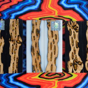Stabilized Wood Cholla Knife Scales Blank Handle Cactus Block Burl ...