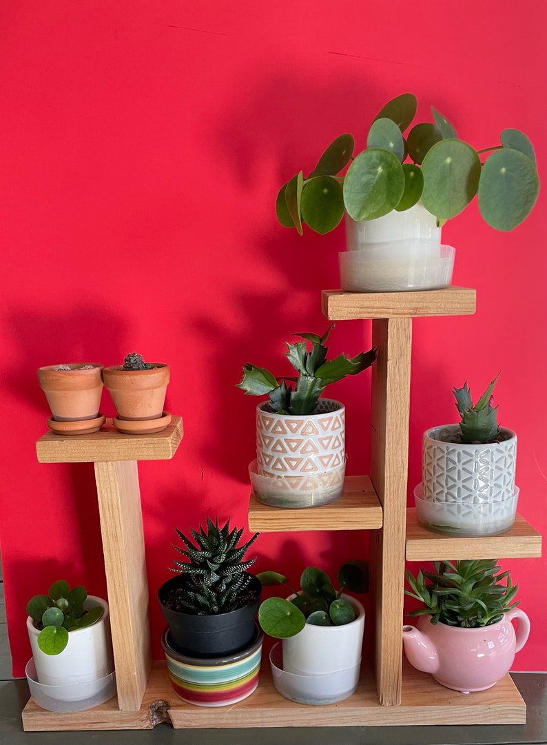 Unfinished Wooden DIY Mini Tabletop Plant Stand Multi-layer - Etsy