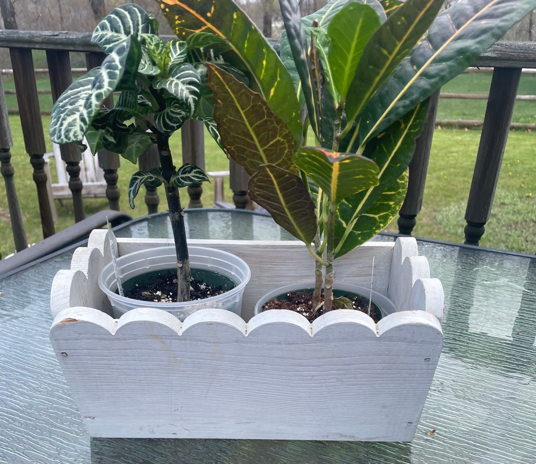Reclaimed Wood Distressed White Paint Planter Box, Outdoor Planter Box ...