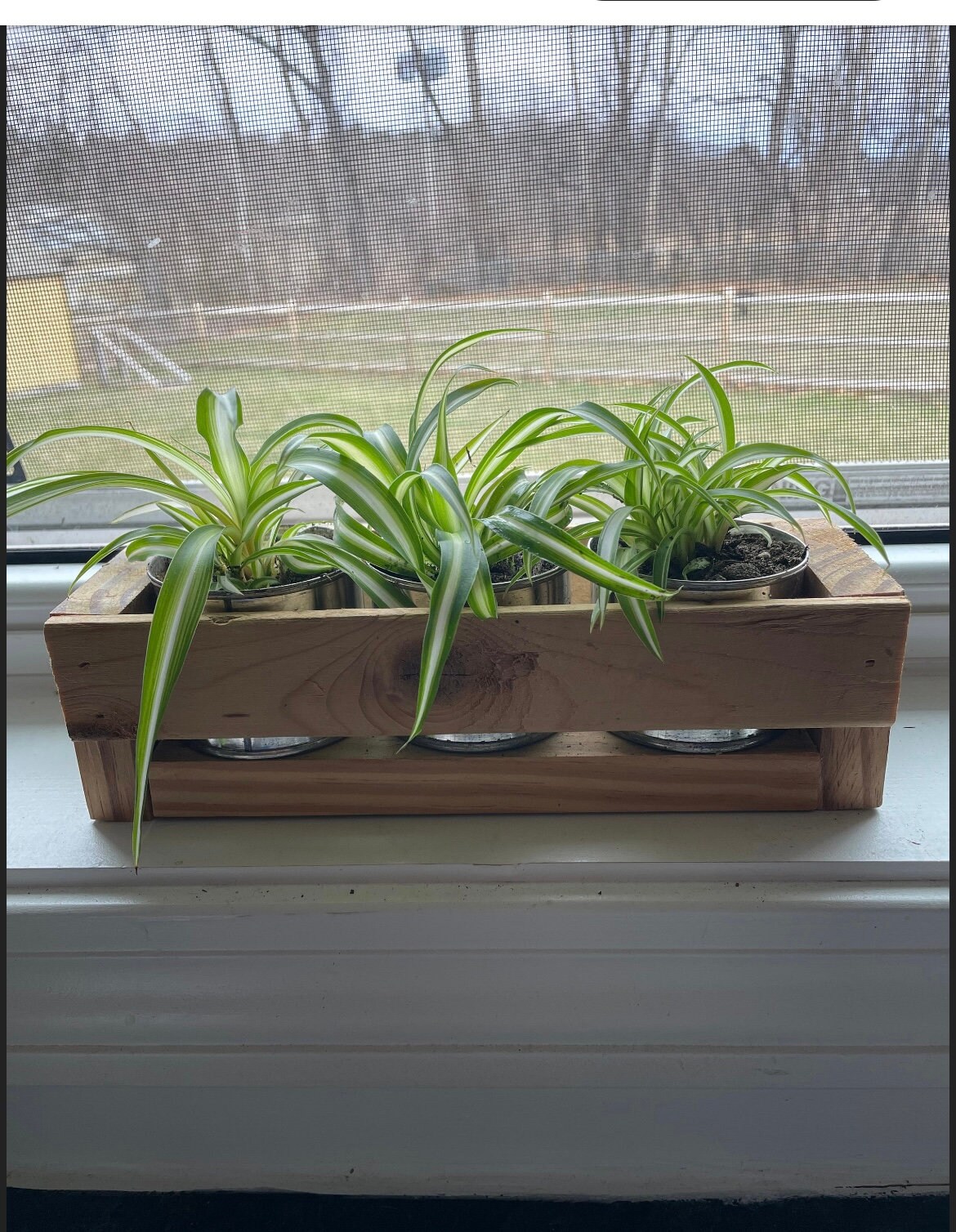 Diy Window Sill Planter