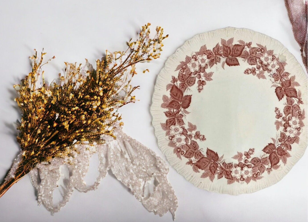 Vintage Wedgwood Bramble Antique Dinner Plate shell Edge - Etsy