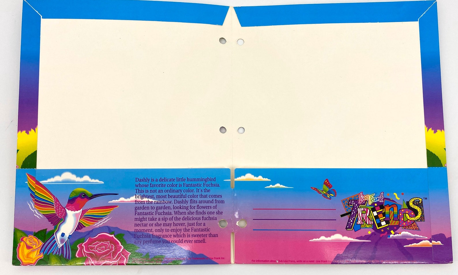 Vintage Lisa Frank dashly Hummingbird 3 Hole 2 Pocket Folder - Etsy