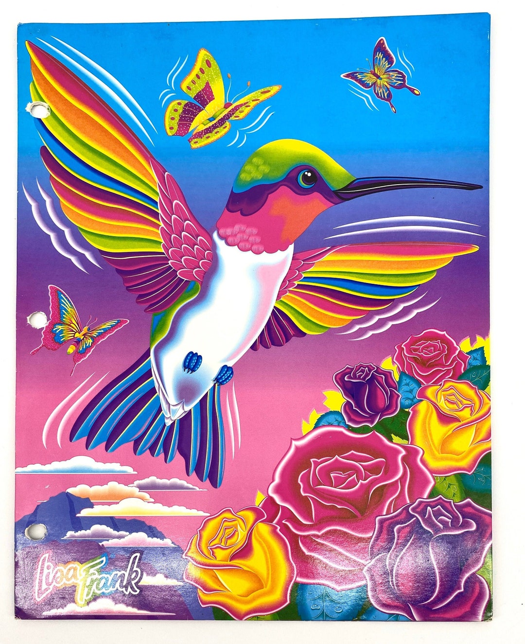 Vintage Lisa Frank dashly Hummingbird 3 Hole 2 Pocket Folder - Etsy