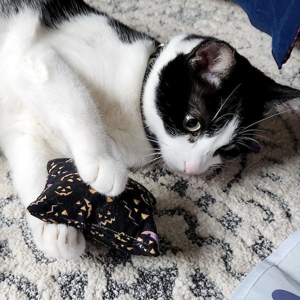 Halloween Cat Toys - Etsy