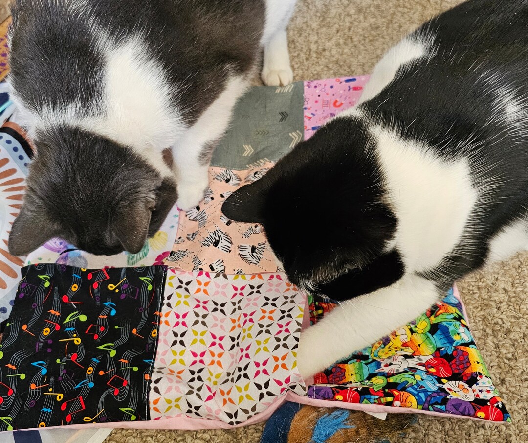 Crinkly Catnip Mat With Pockets, Pick a Theme, Opt Catnip Silvervine ...