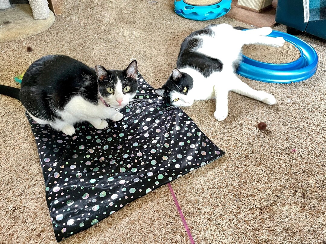 Slippery Crinkly Catnip Mat Toys, Refillable Cat Toy, Optional Catnip ...
