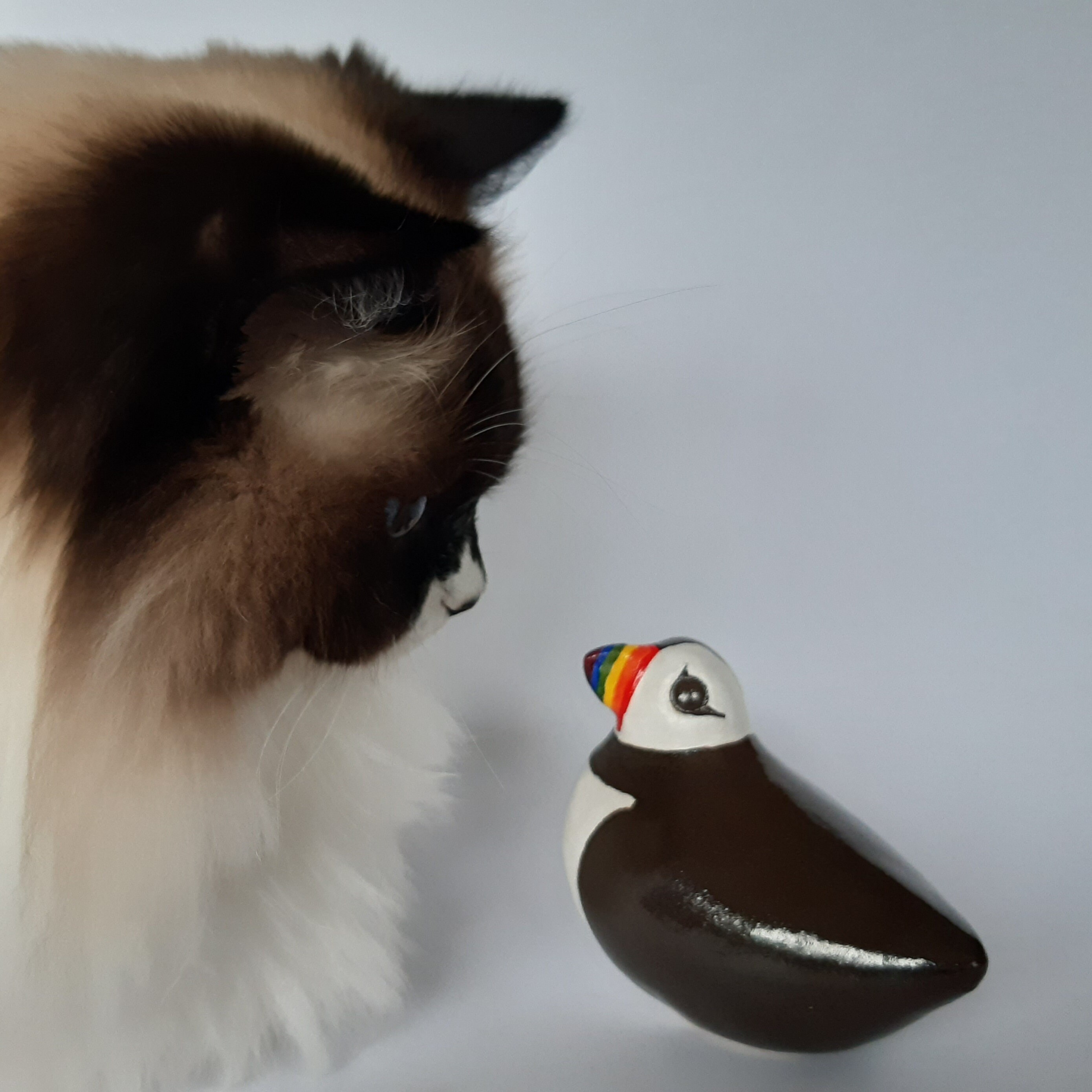 Pride Puffin Rainbow Beak Handmade Ceramic Bird | Etsy