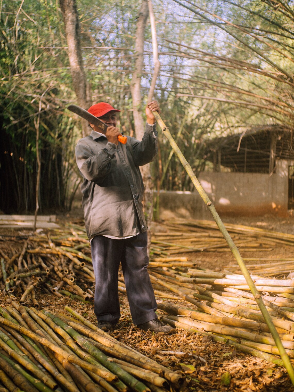Bamboocycles Tulum 26 bamboo & carbon fiber Beach | Etsy