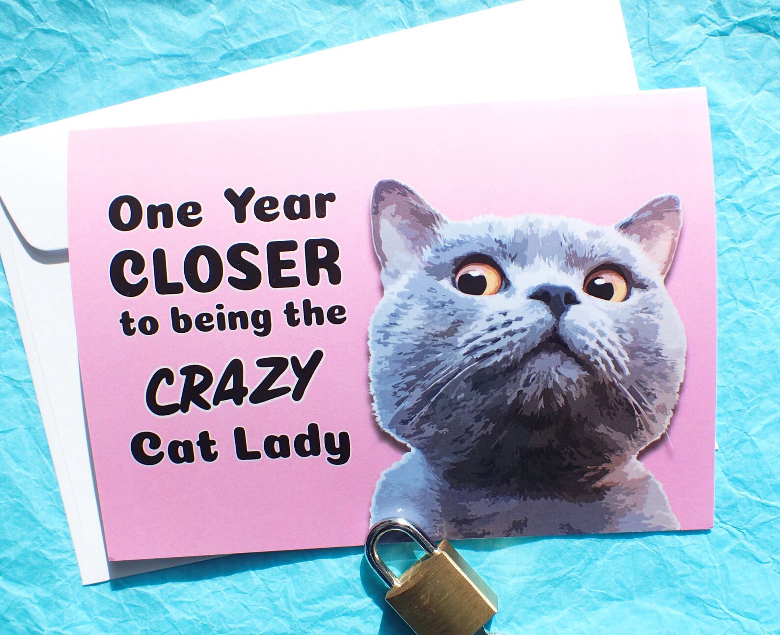 Crazy Cat Lady Funny Birthday Card - Etsy