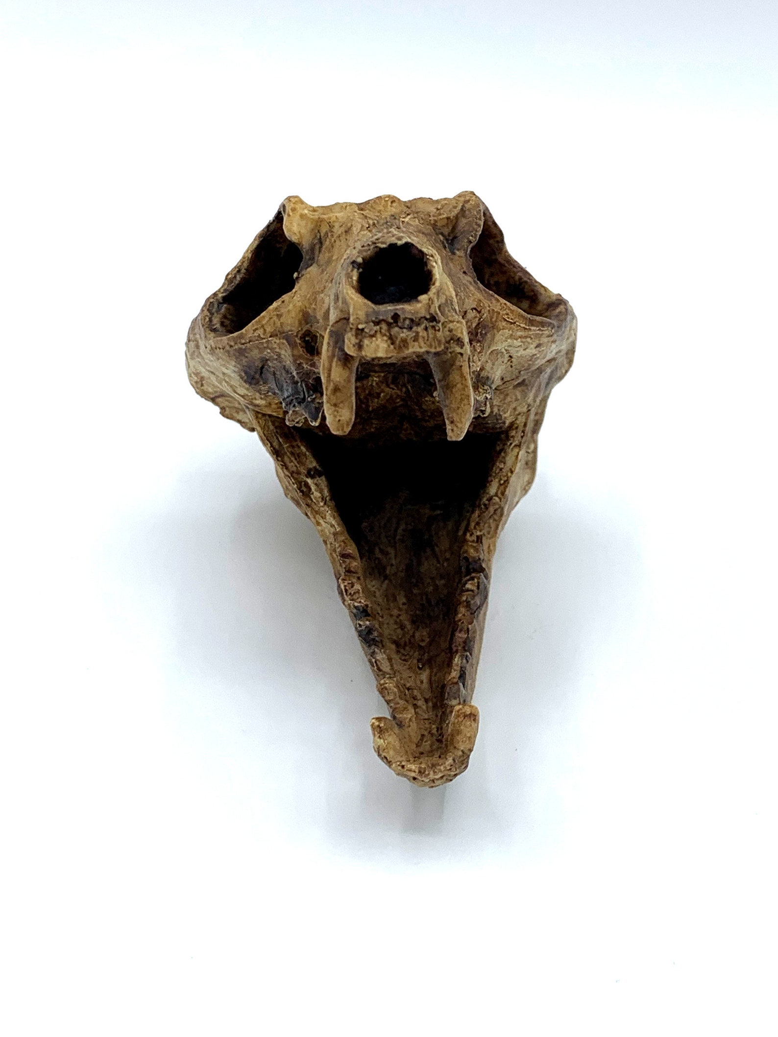 Aztec Death Whistle The Carnivore Aztec Death whistle | Etsy