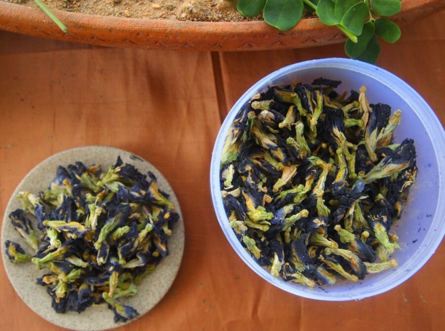 Loose Butterfly Pea Blue Chai Herbal Tea Drink 25g / - Etsy