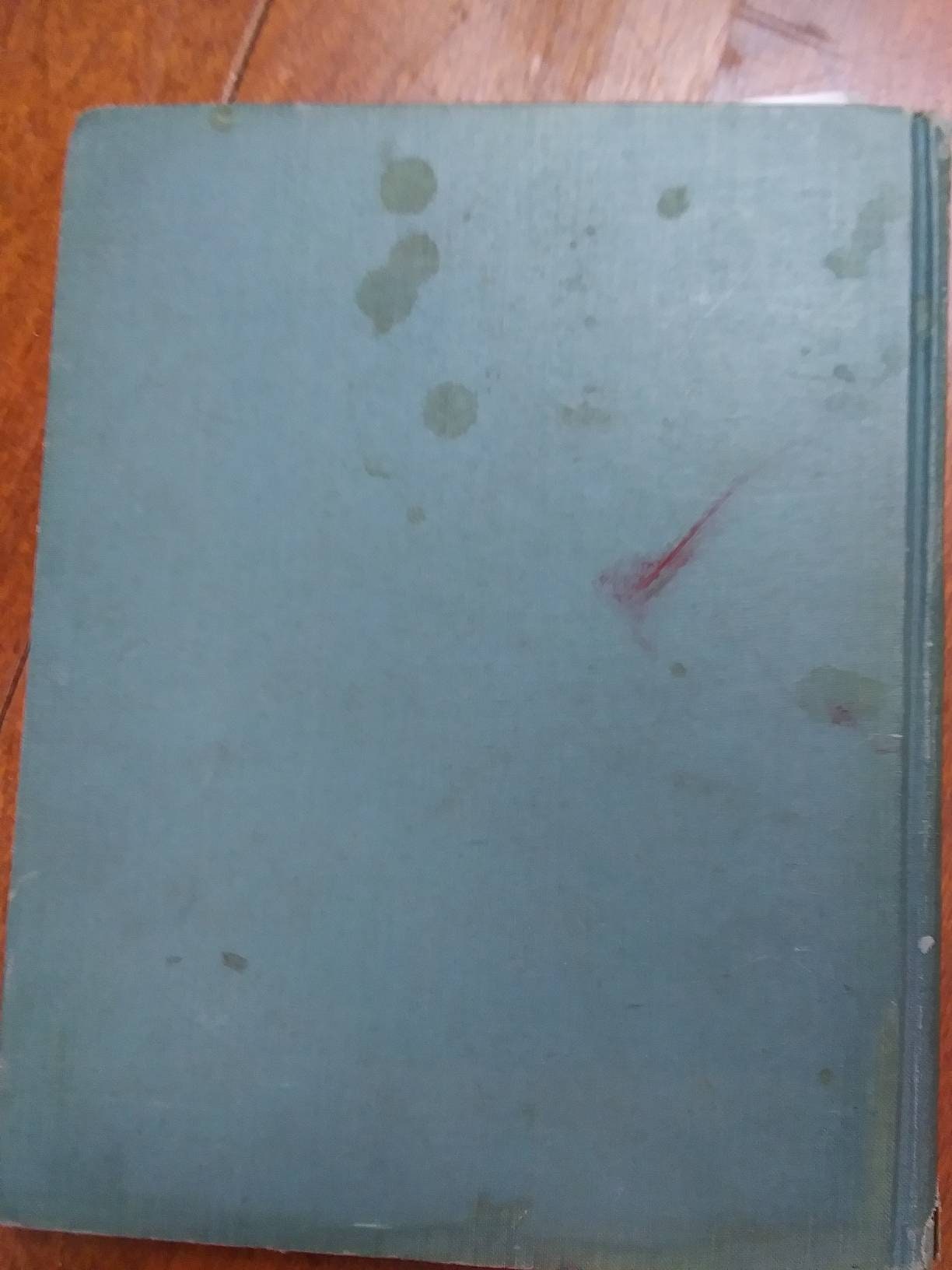 Anatomy an Drawing by Victor Perard 1928 - Etsy UK