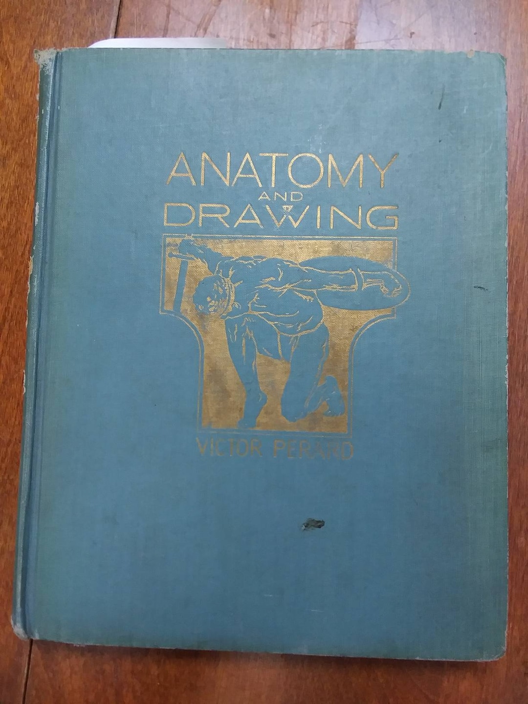 Anatomy an Drawing by Victor Perard 1928 - Etsy UK