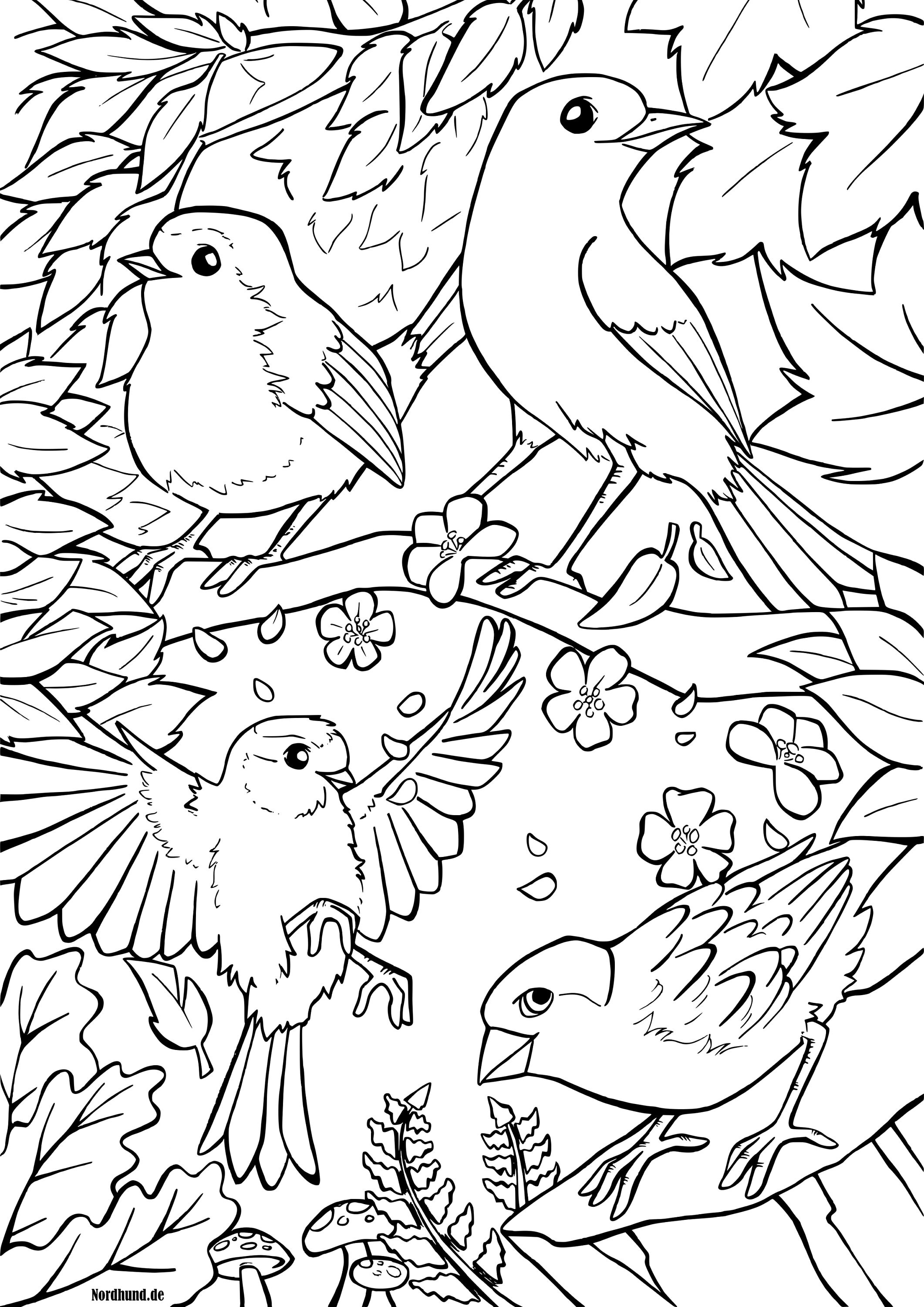 Songbird Coloring Page, Digital Download, PDF/JPG - Etsy