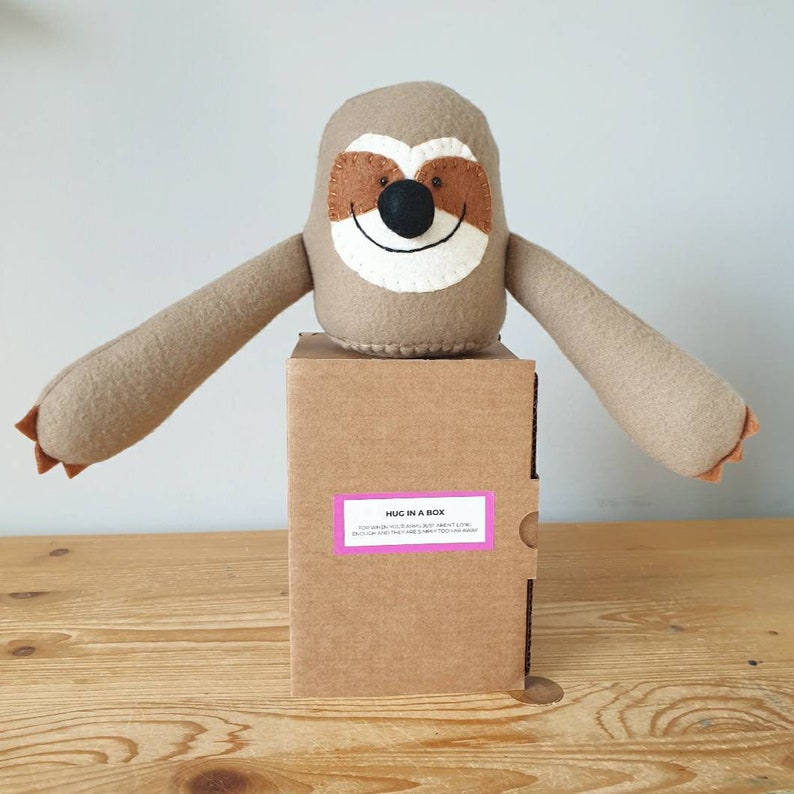 HUG IN A BOX Gift for a Far Away Friend Sloth | Etsy
