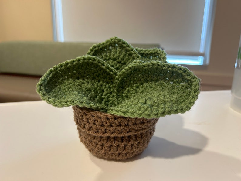 Plant Coaster Set Crochet - Etsy