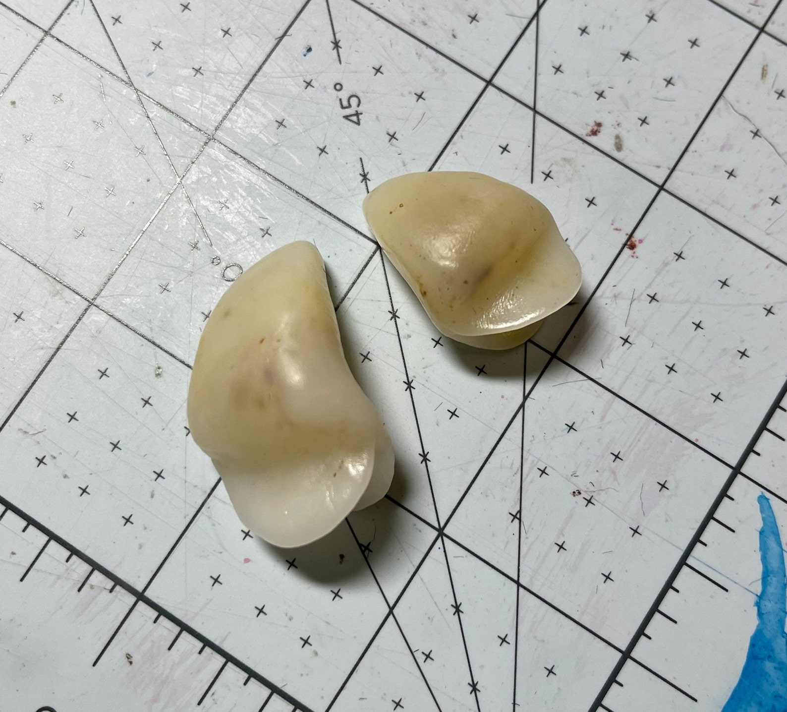 Cosplay Orc Tusks | Fake Thermoplastic Teeth for Fantasy Costumes ...