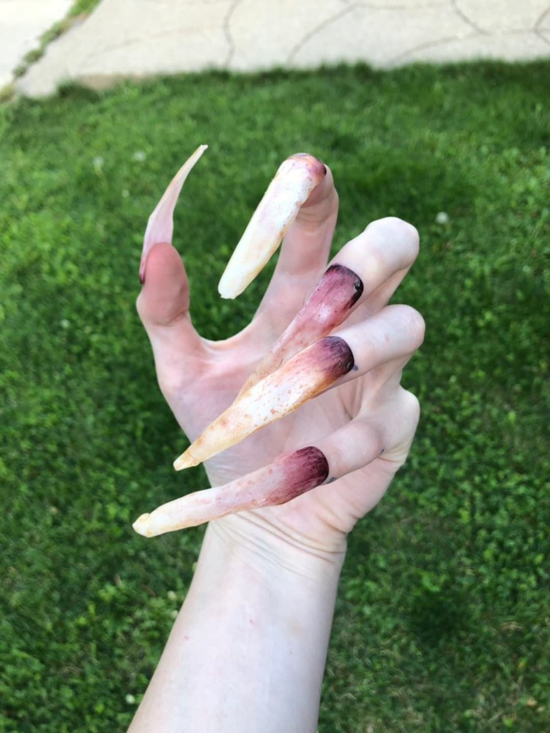Monster Claws | Plastic Cosplay Nails | Halloween Vampire Costume - Etsy