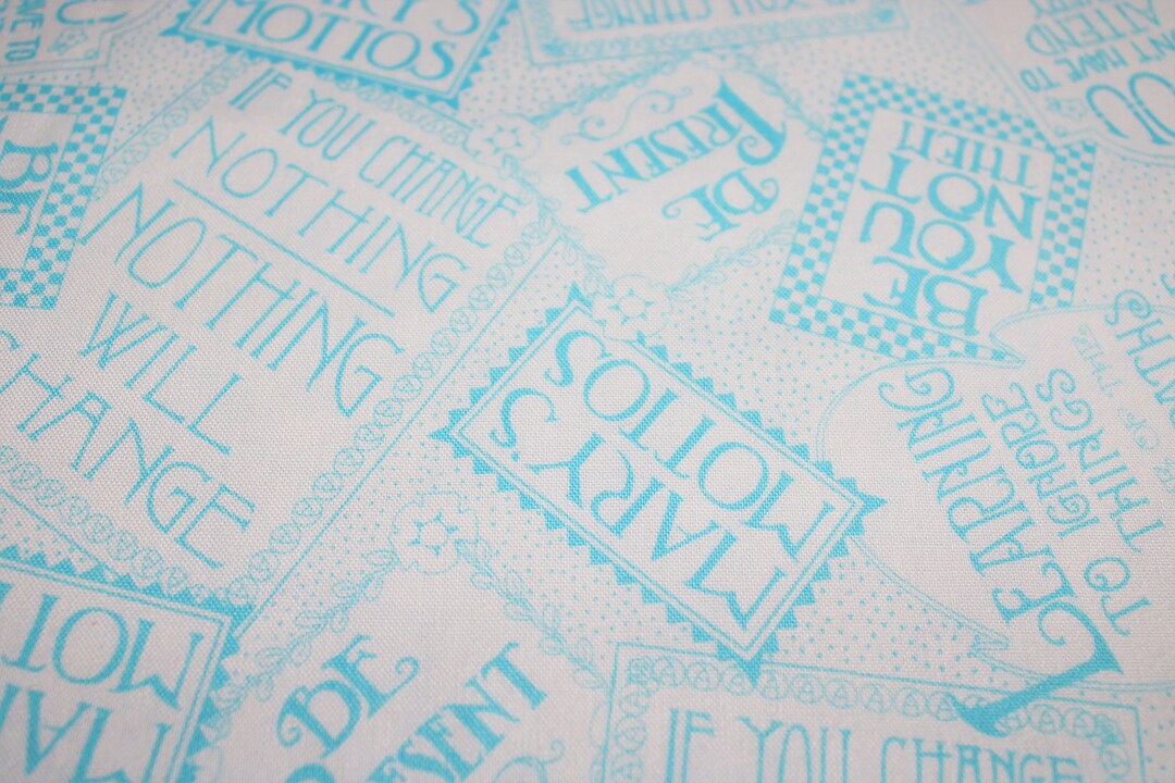 MARY ENGELBREIT Quilt Fabric Mottos to Live by Blue - BTHY - Etsy