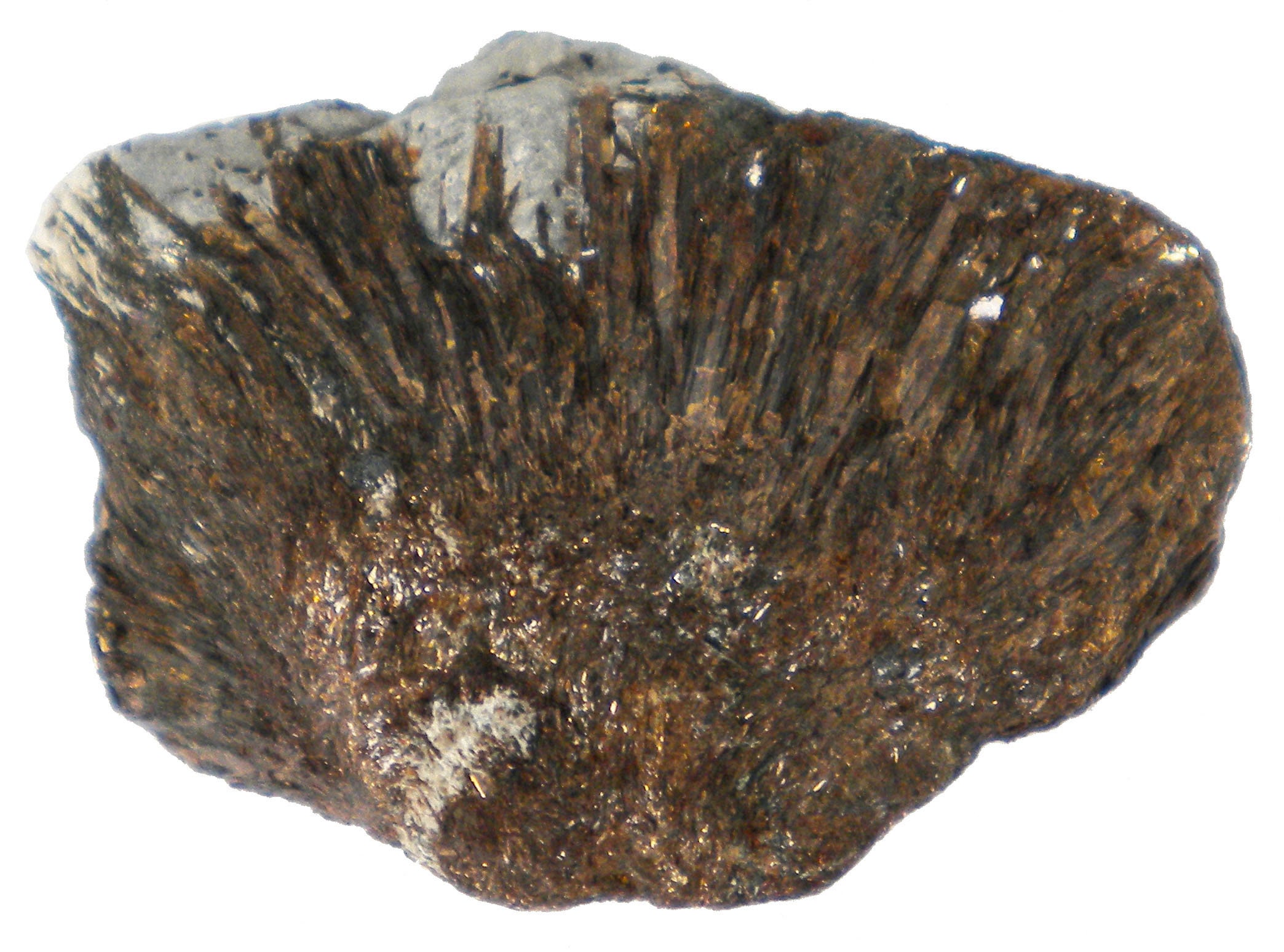 Astrophyllite - Crystal Display Specimen 4 1/2 X 3 1/4 X 1 1/2" 635 ...