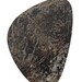 Astrophyllite - Crystal Polished Specimen 8.75 X 7.5 X .25" - 540 Grams ...