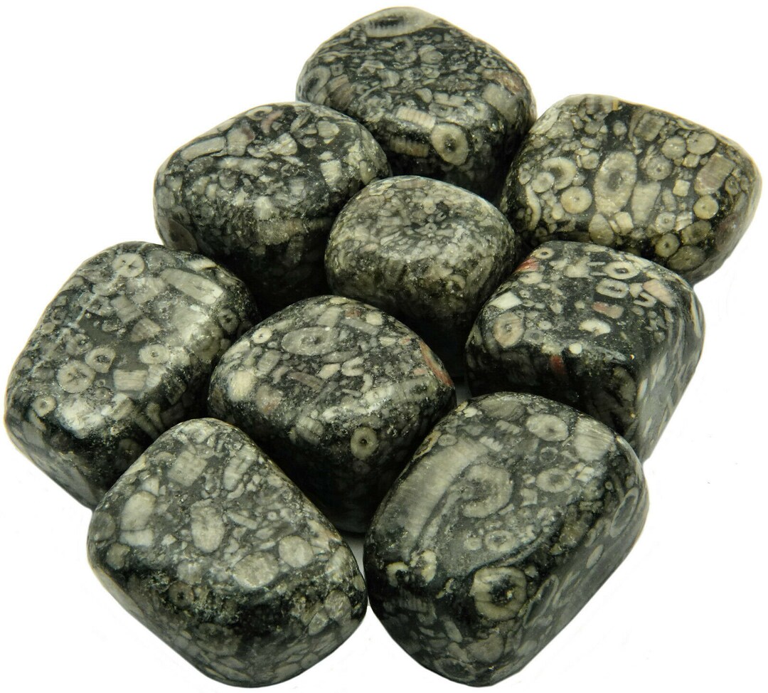 Fossil Jasper - Tumbled 1 Pound - 1 to 1.5 Inch Pcs - 1lb - Etsy