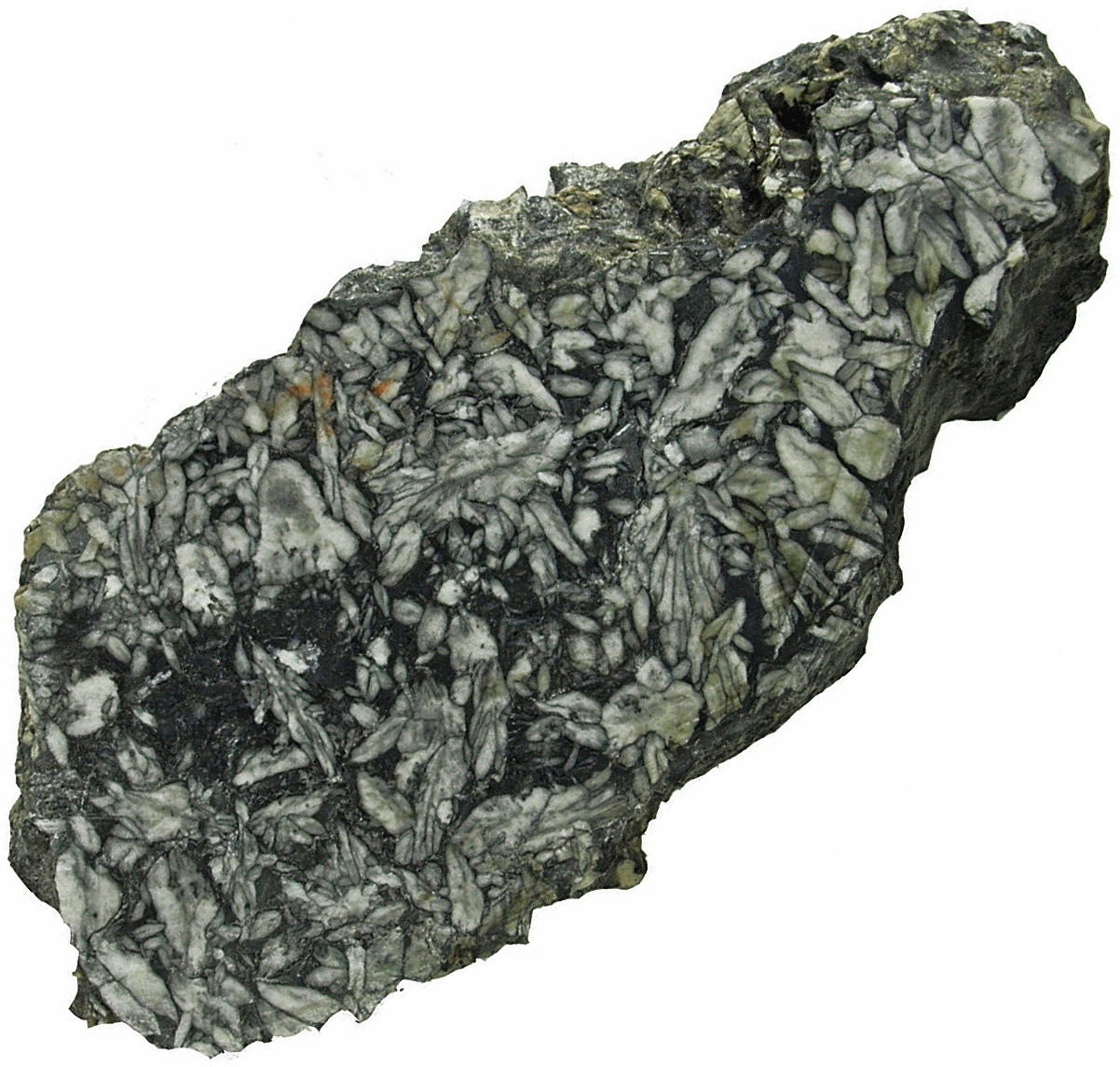 Home & Living Rocks & Geodes 1lb 7oz oz 8 x 4 x 0.5 inches PNL016 ...