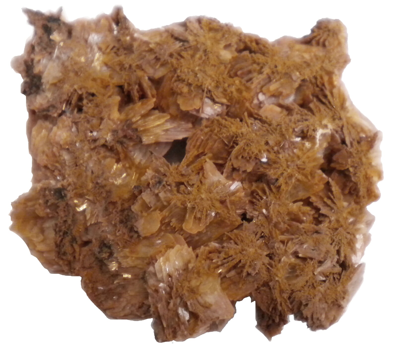 Barit Mineral Display Exemplar 107 Gramm 325 x 25 x - Etsy.de