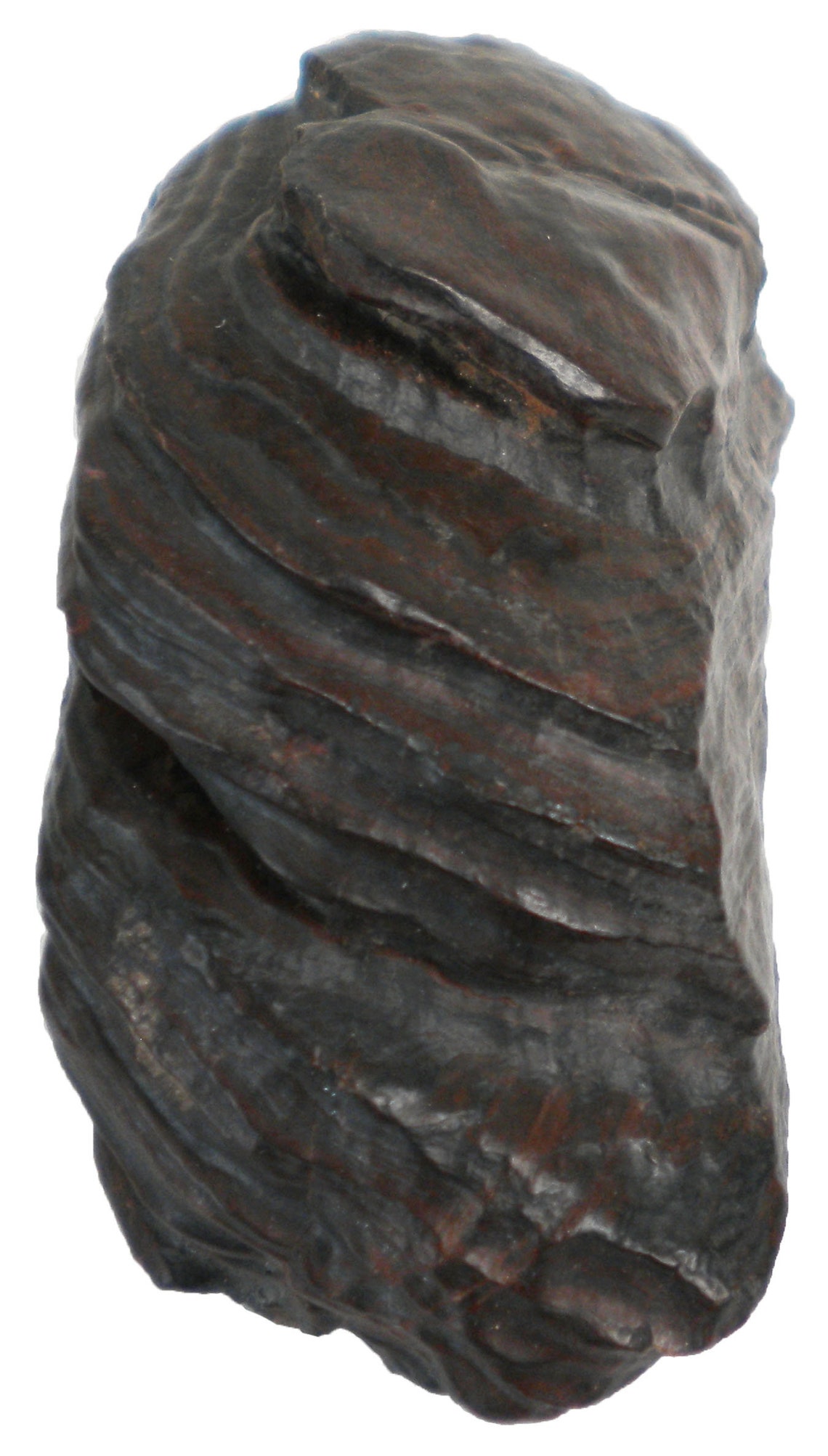 Banded Iron - Magnetite Hematite & Jasper Display Mineral - 462 Grams ...