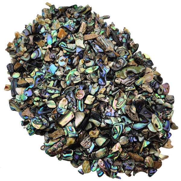 Rainbow Shell - Etsy