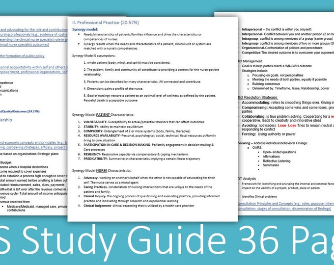 Clinical Nurse Specialist CNS Review Notes - Etsy