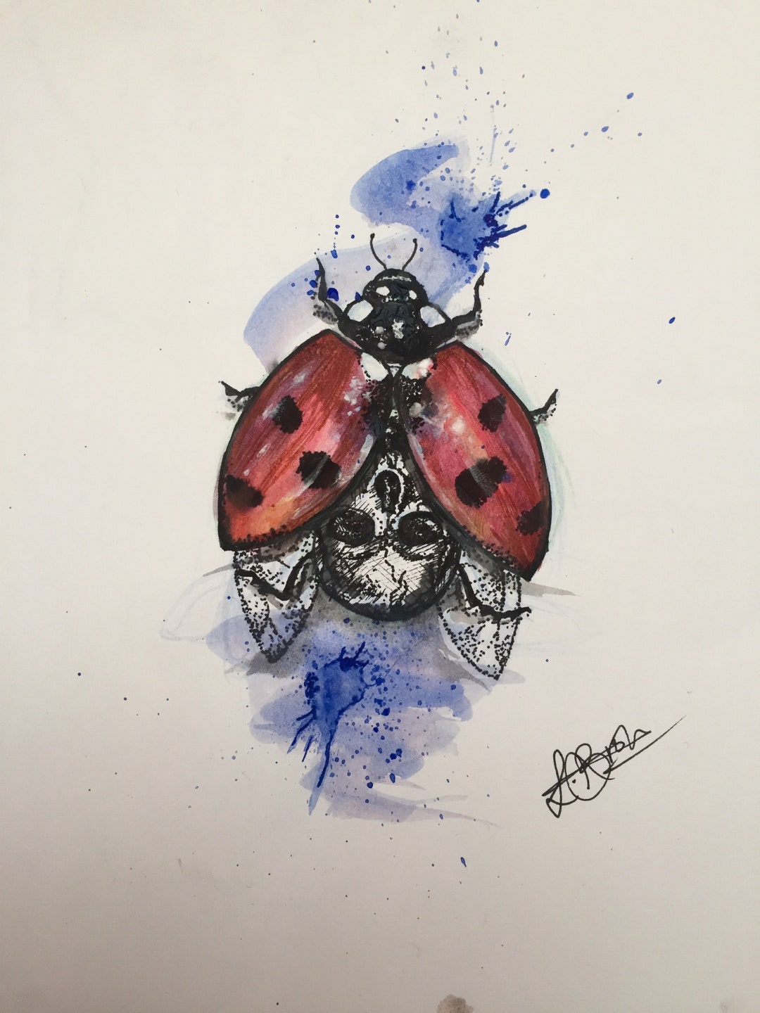 Skull Ladybug - Etsy