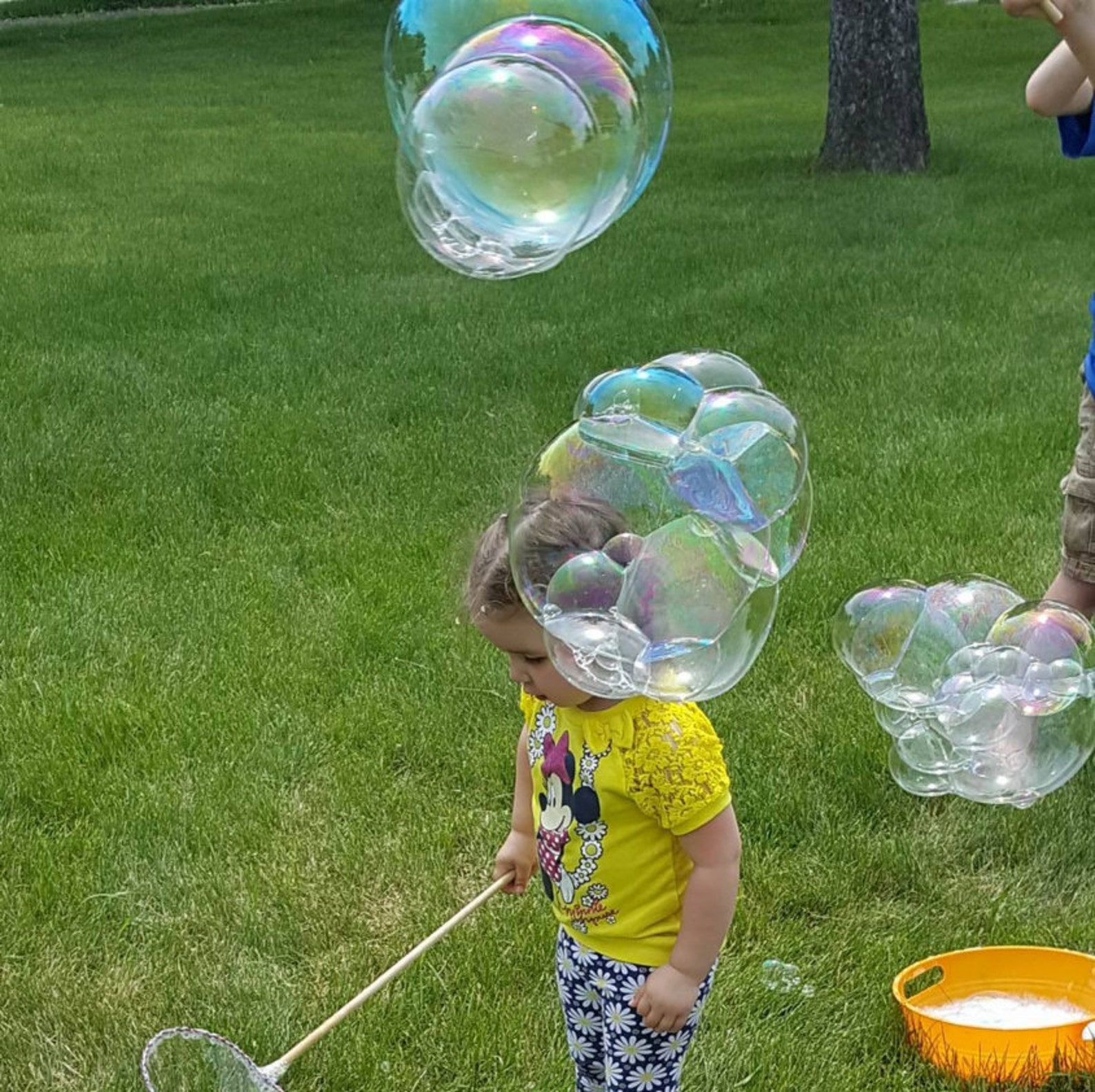 Lollipop Cluster Wire Bubble Wand Value Pack 6 Wands for the - Etsy