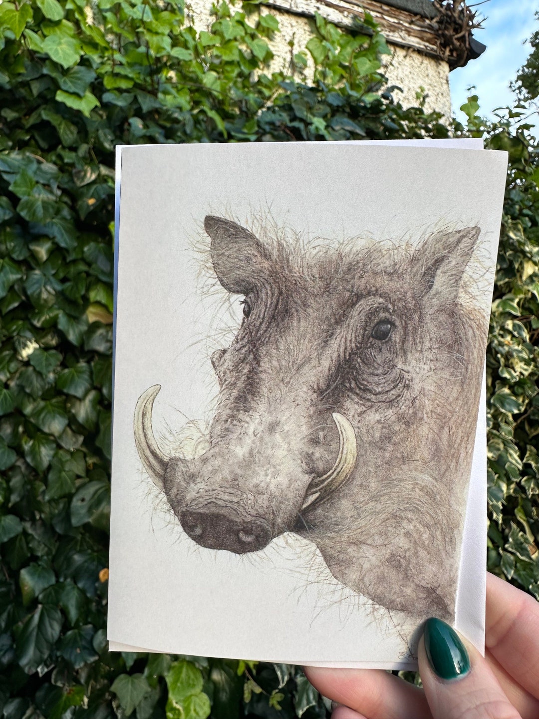 Warthog Greeting Card A6 Original Design Wildlife Savanna Watercolour ...