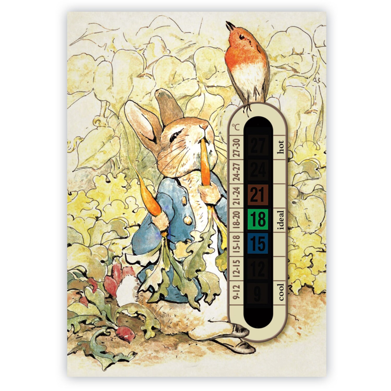 A6 Nursery and Childrens Peter Rabbit Baby Room Thermometers - Etsy UK