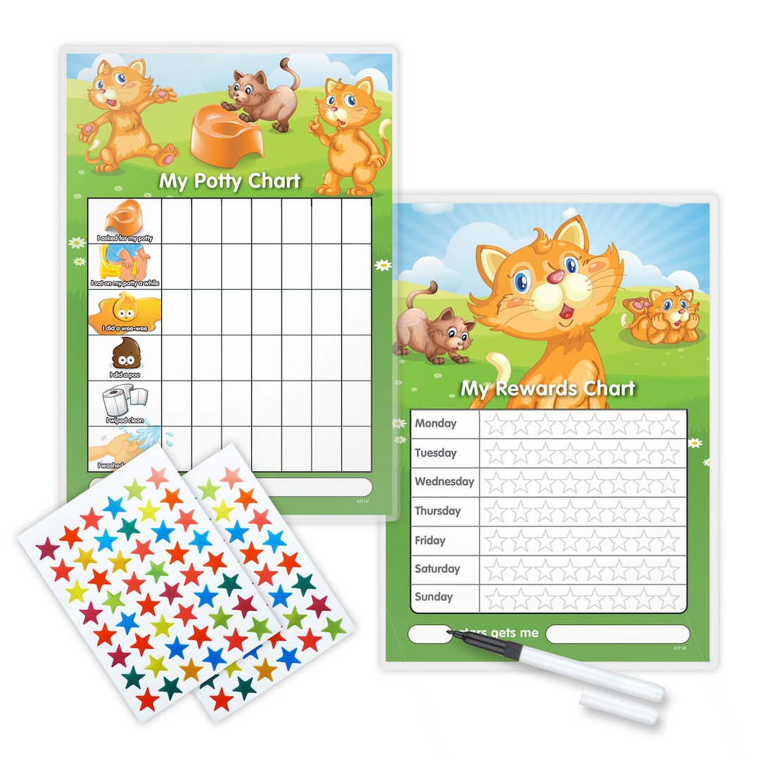 Re-usable Potty and Reward Chart SET (including 96 FREE Stickers and ...