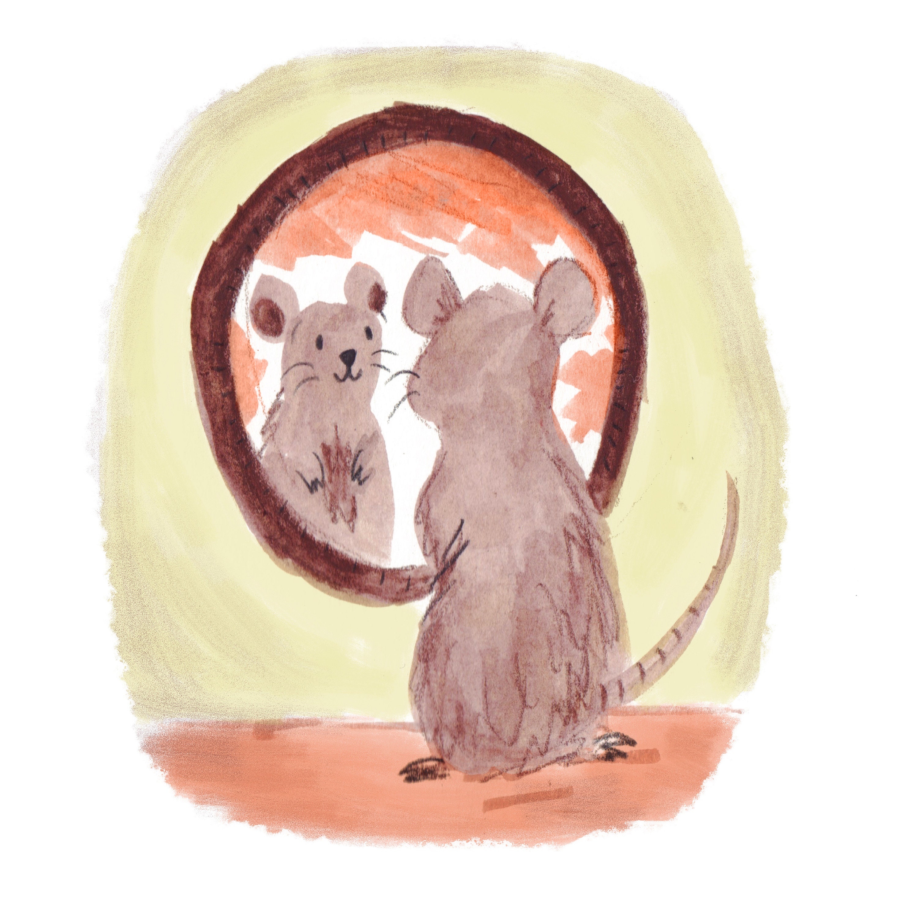 Cute Mouse Greetings Card 148mm X 148mm Illustrated Blank - Etsy