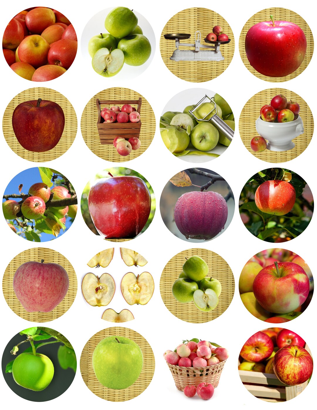 Apples - Digital Collage Sheet - Apple Picking - Printable Pictures- 20 ...