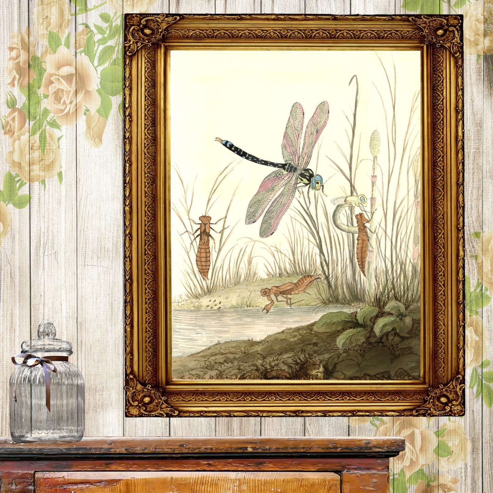 Dragonfly Art Printables - Poster - Printable Vintage Illustration ...