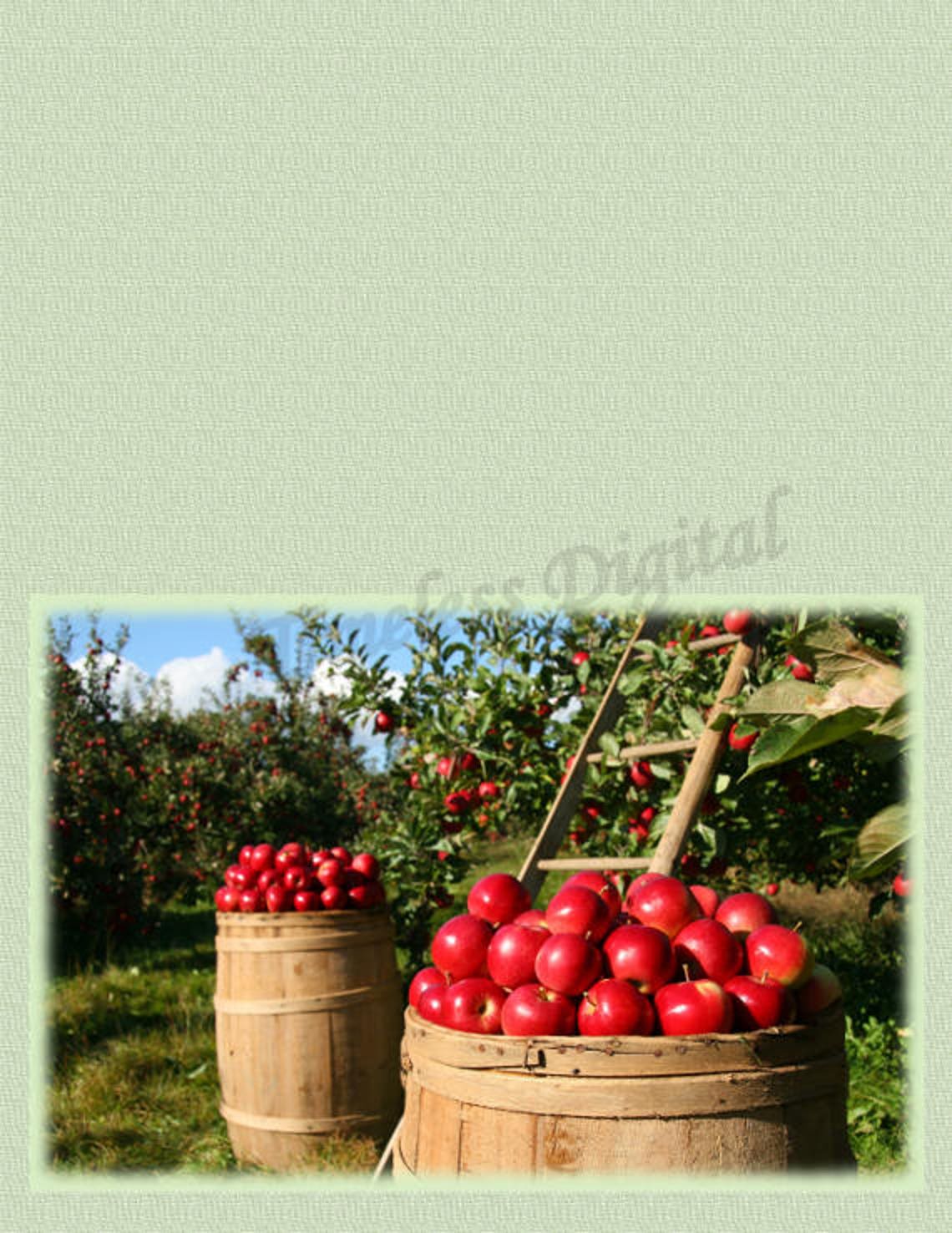 Apple Picking Flyers - Set of 4 Sheets - Fall Autumn Apples - Scrapbook ...