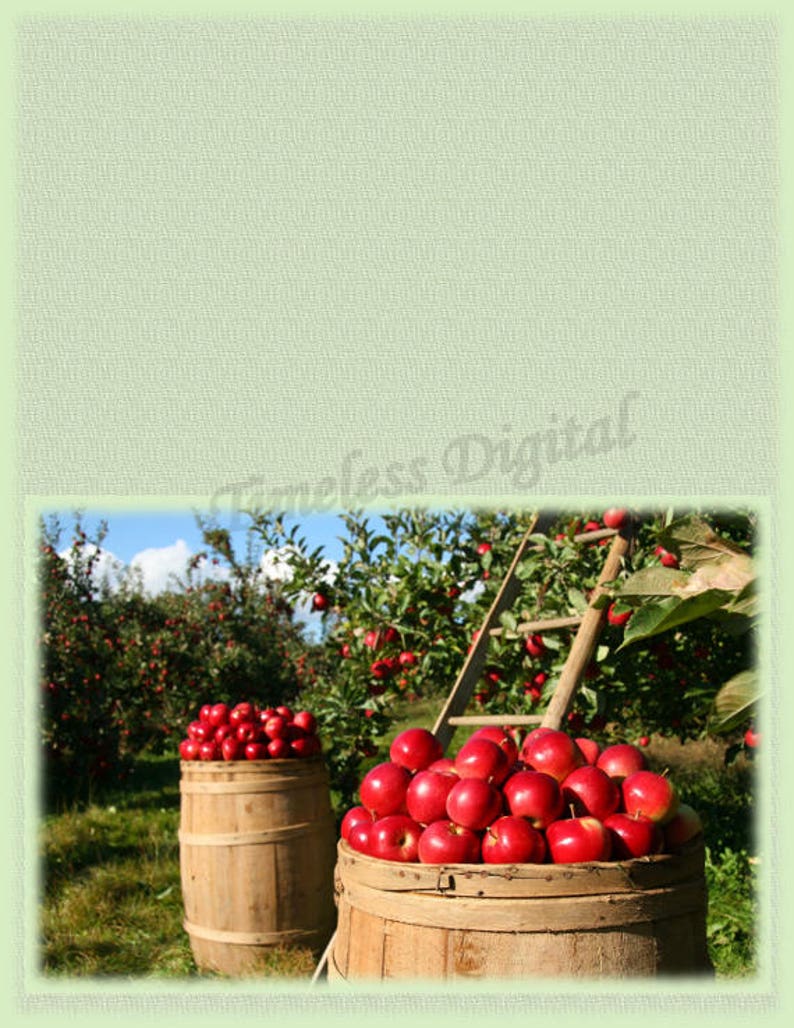 Apple Picking Flyers - Set of 4 Sheets - Fall Autumn Apples - Scrapbook ...