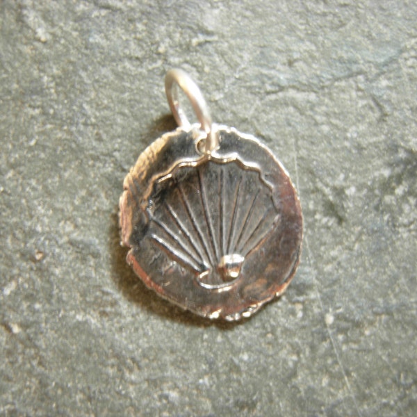 Shell Wax Seal - Etsy