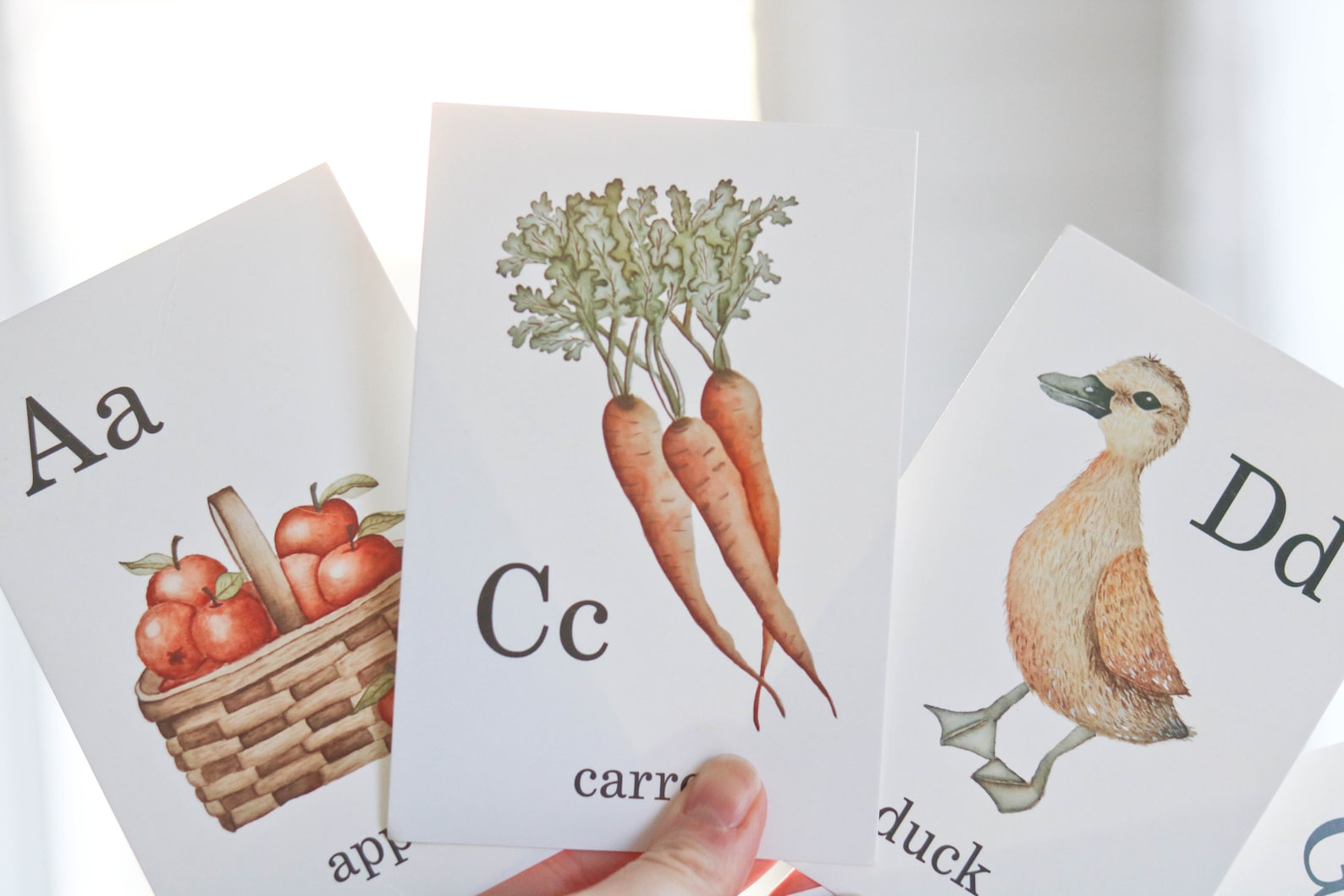Nature Alphabet Flashcards / Watercolor Alphabet Cards / - Etsy