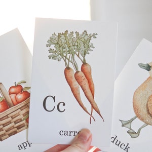Nature Alphabet Flashcards / Watercolor Alphabet Cards / Homeschool ...