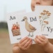 Nature Alphabet Flashcards / Watercolor Alphabet Cards / Homeschool ...