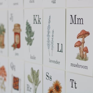 Nature Alphabet Flashcards / Watercolor Alphabet Cards / Homeschool ...